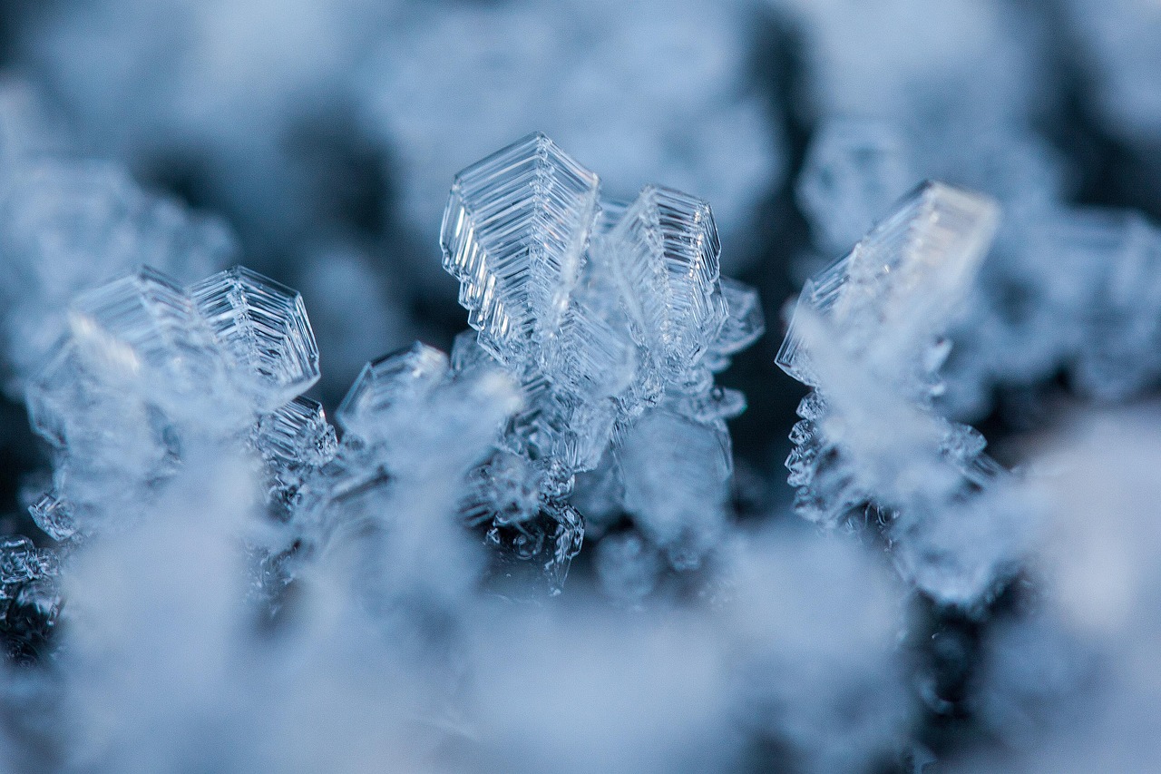 Hoarfrost Ice Crystals Winter - Free photo on Pixabay
