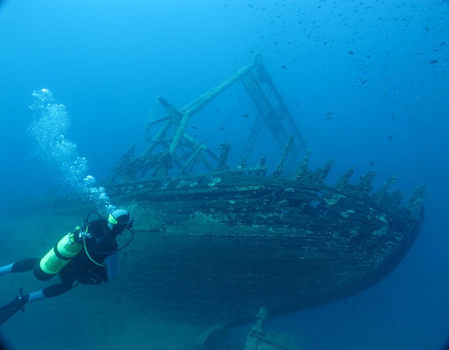 600+ Free Diver & Diving Images - Pixabay