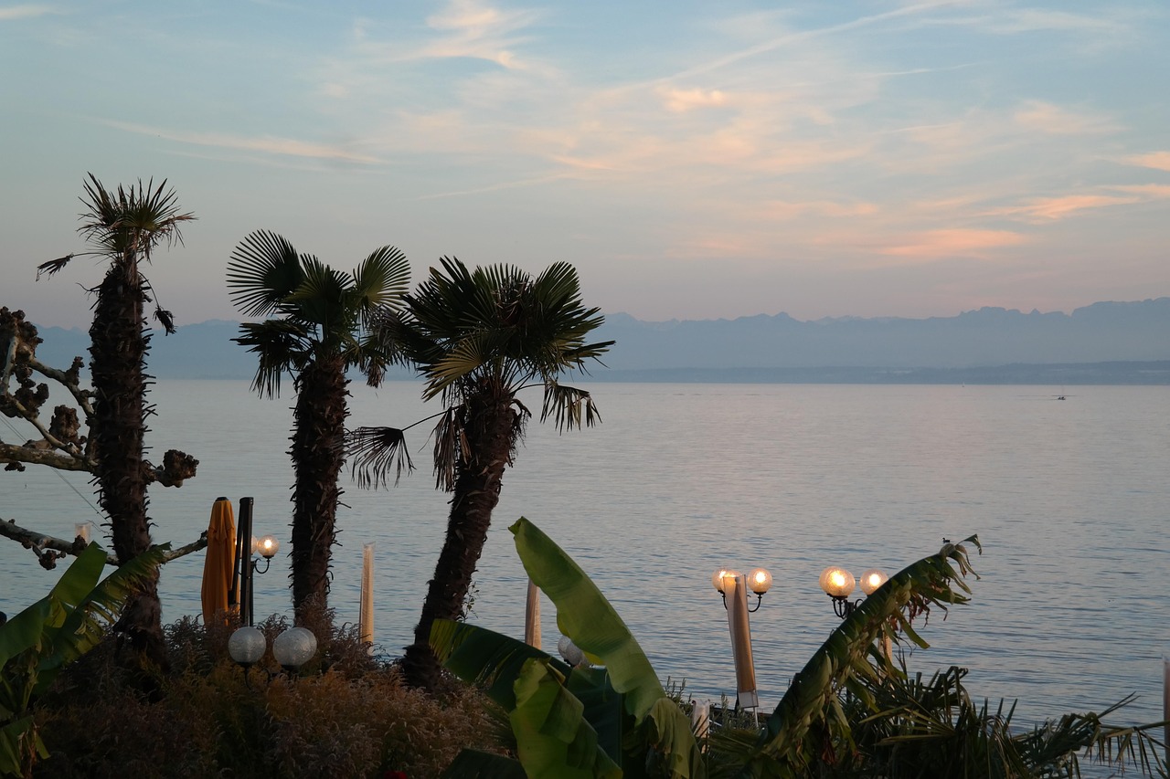 Bodensee Meersburg Palmen - Kostenloses Foto auf Pixabay - Pixabay
