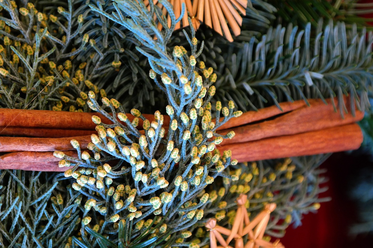 Flower Arrangement Advent Wreath - Free photo on Pixabay
