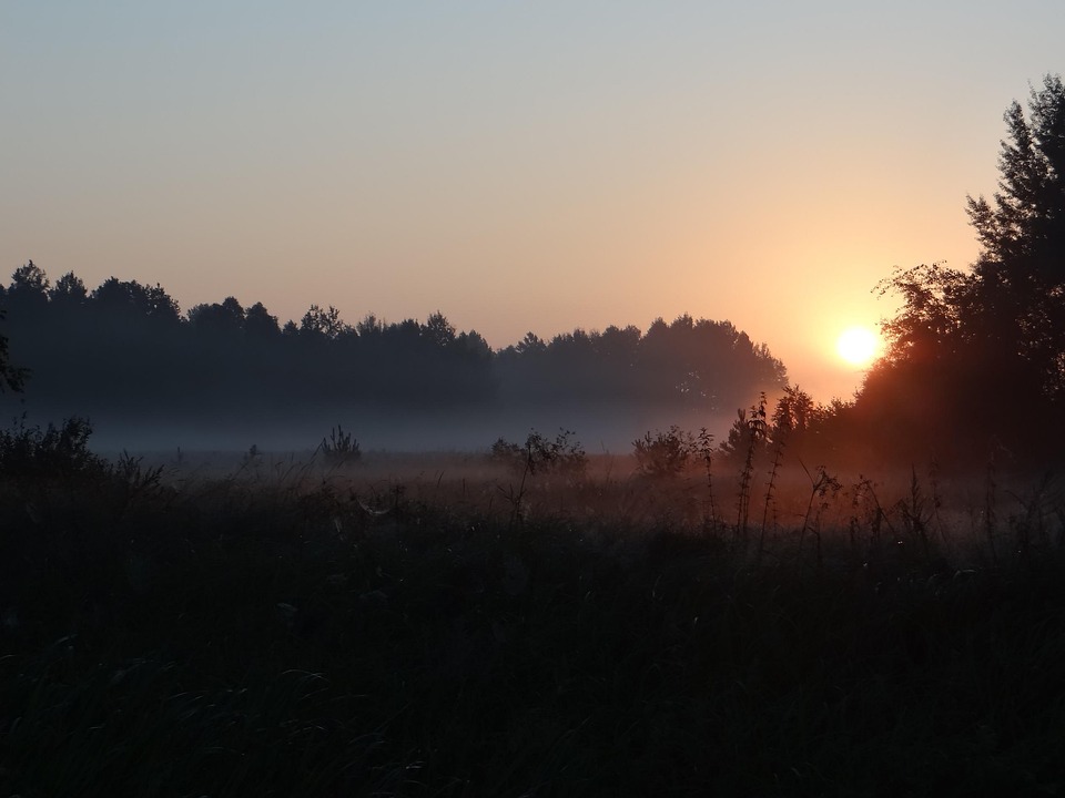 Der Nebel Wiese Morgen - Kostenloses Foto auf Pixabay - Pixabay