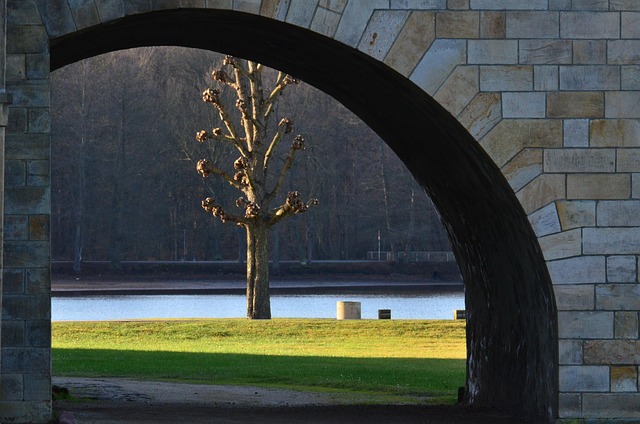 Parque Do Castelo Prado Árvore - Foto gratuita no Pixabay - Pixabay