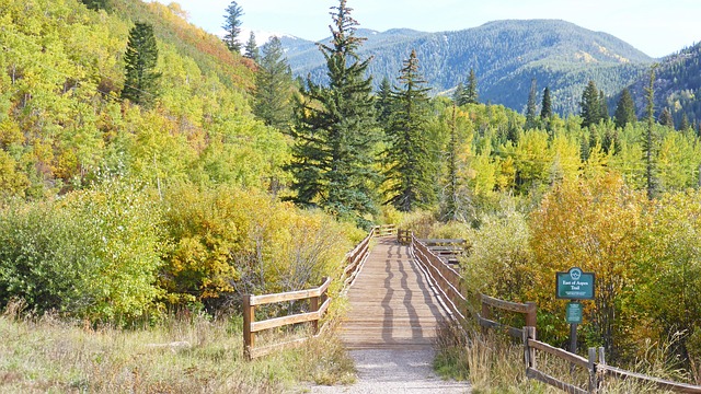 Foot Bridge Trail Wooden - Free photo on Pixabay