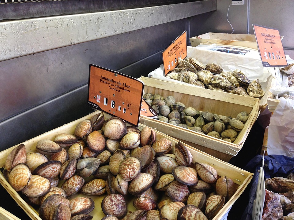 Shellfish Sea Fruit Nice - Free photo on Pixabay