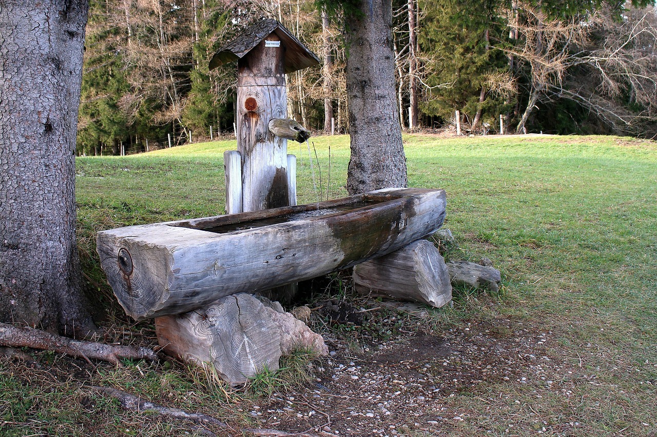 10+ Free Cow Trough & Trough Images - Pixabay