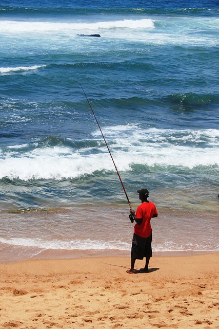 Fisherman Man Fishing - Free photo on Pixabay
