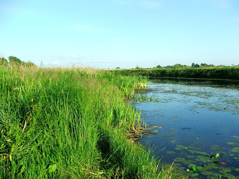 Nature Fleuve - Photo gratuite sur Pixabay - Pixabay