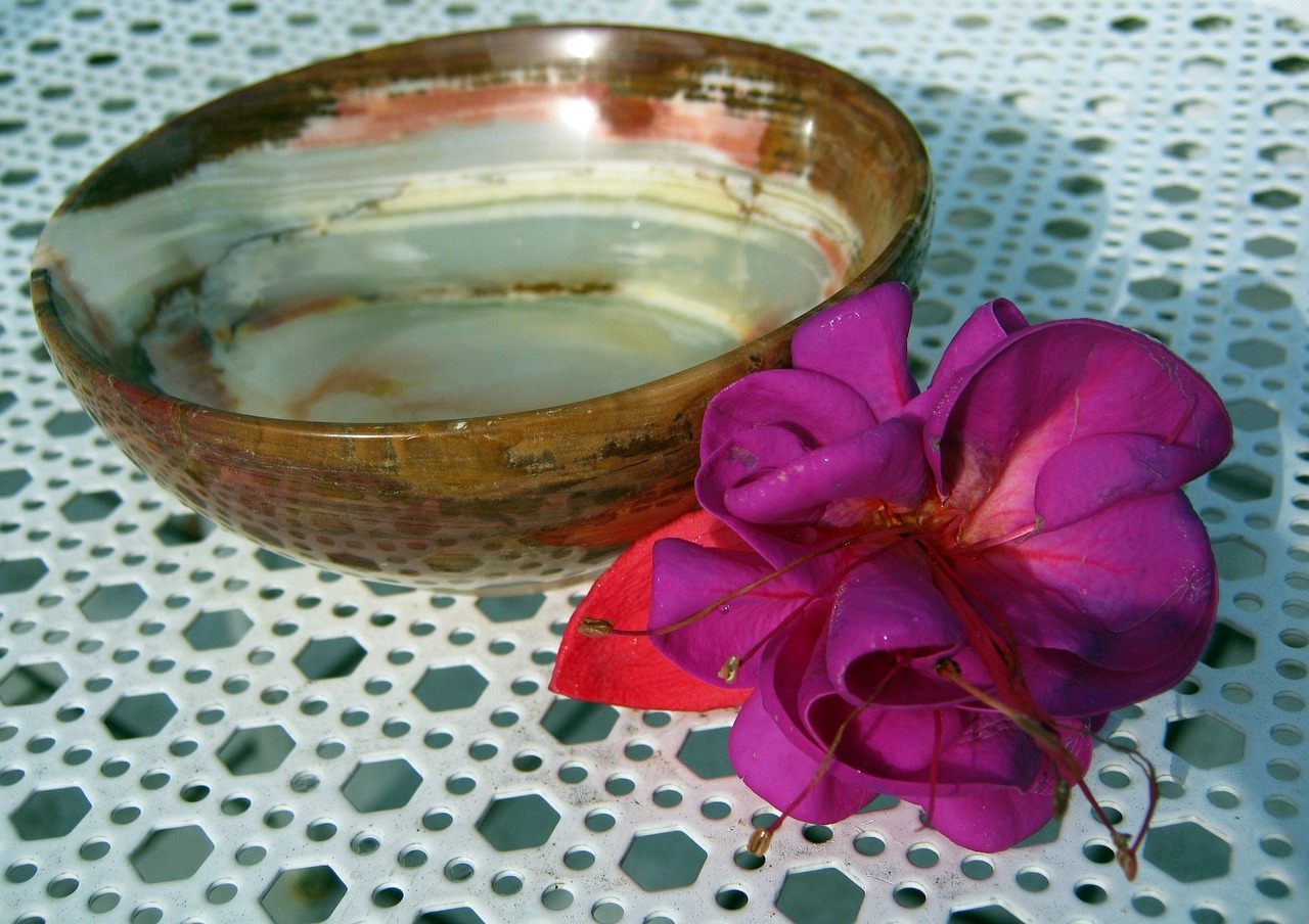 Wellness Shell Flower - Free photo on Pixabay - Pixabay