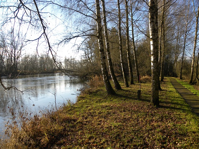 Rottenacker Danube Mouth Sounding - Free photo on Pixabay - Pixabay