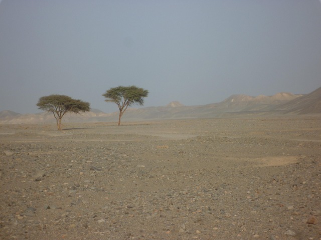 Egypt Desert Lonely - Free photo on Pixabay