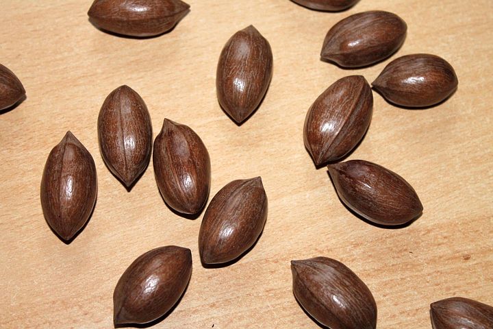 90+ Free Pecans & Nuts Images
