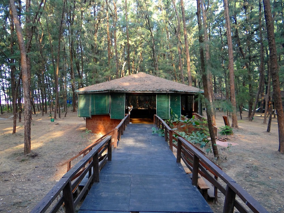 Log Hut Circular Forest - Free photo on Pixabay - Pixabay