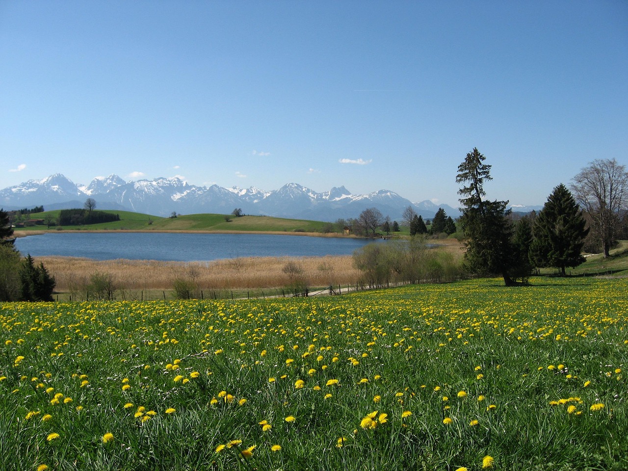 Lake Forgensee Paraíso Azul - Foto gratuita no Pixabay - Pixabay