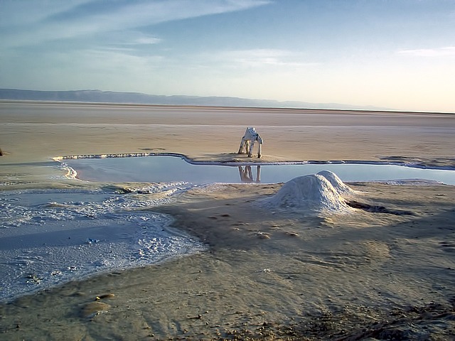 Lago Salgado Seco Estátua - Foto gratuita no Pixabay - Pixabay