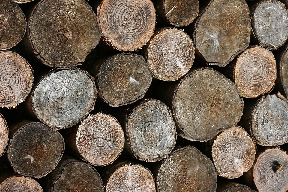 Holz Gestapelt Baumringe - Kostenloses Foto auf Pixabay - Pixabay