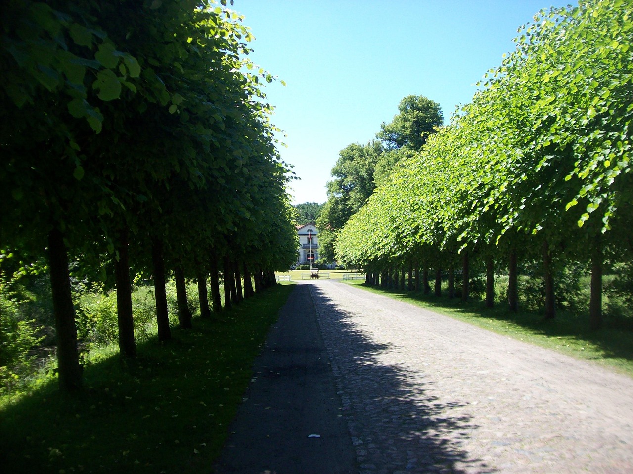 Stilvolle Franz Rcker Allee Bilder