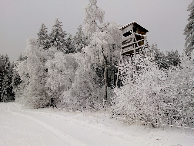 Hunter'S Stand Snow Forest - Free photo on Pixabay - Pixabay