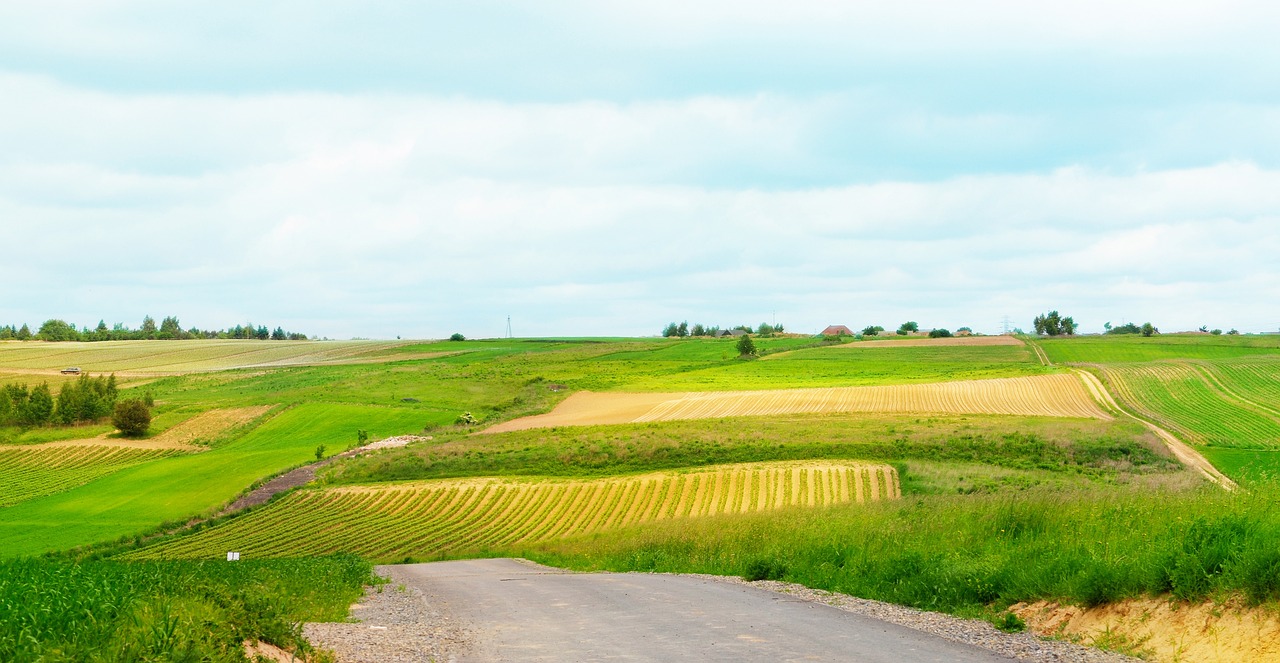 Un Beau Paysage Domaine Des Arbres - Photo gratuite sur Pixabay - Pixabay