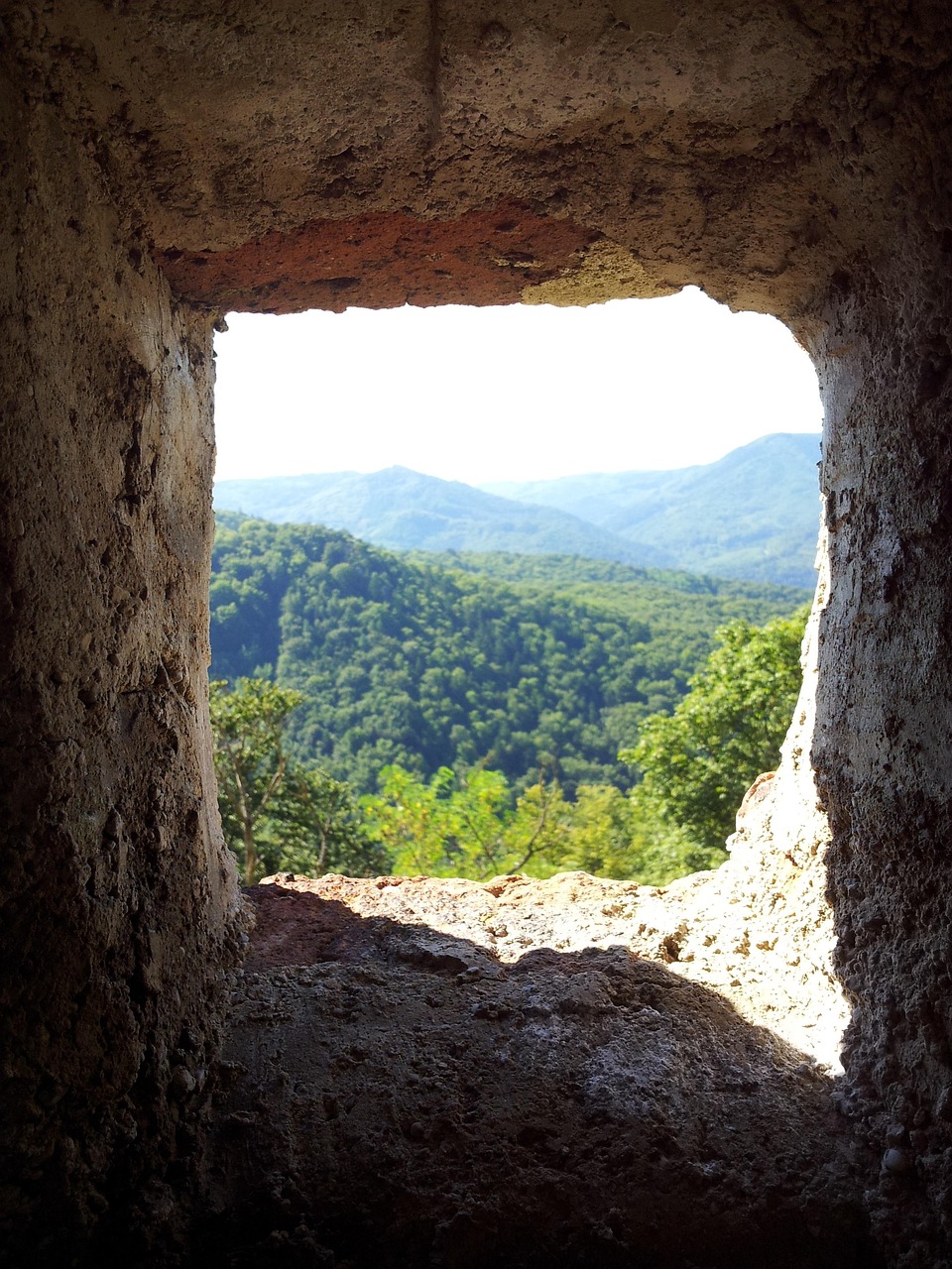 300+ Free Grzęda & Roost Images - Pixabay