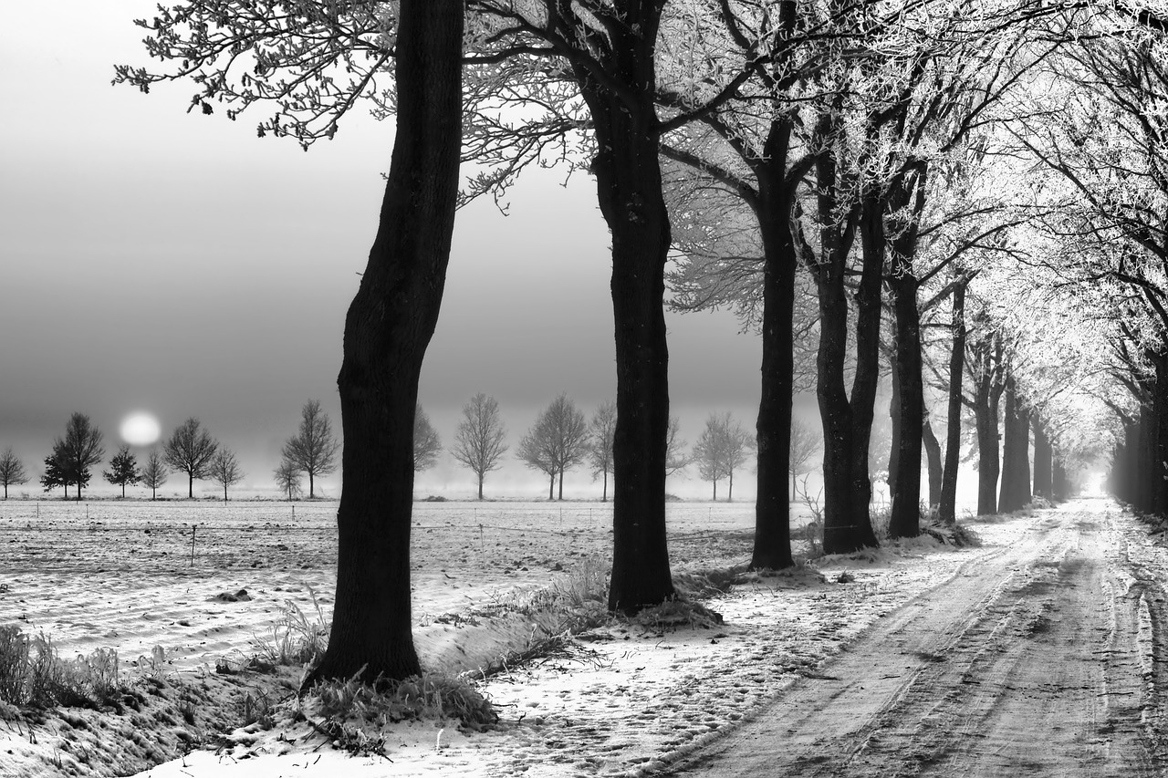 Neve Paisagem Parque - Foto gratuita no Pixabay - Pixabay