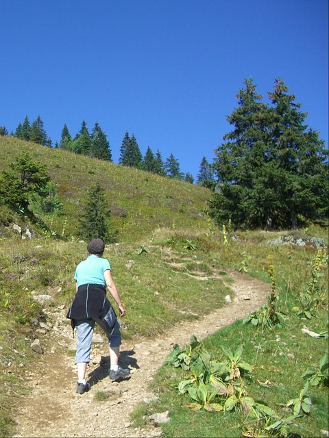 Pfad Wanderpfad Stramme Wadeln - Kostenloses Foto auf Pixabay - Pixabay