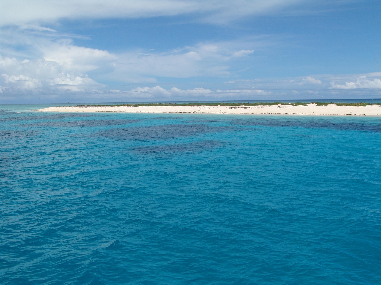 9,000+ Free Great Barrier Reef & Nature Photos - Pixabay