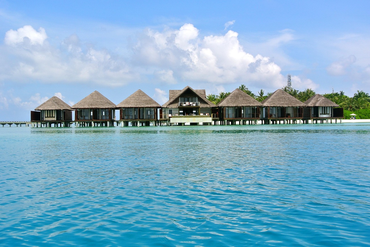 Maldives Coconut Tree Sea - Free photo on Pixabay - Pixabay