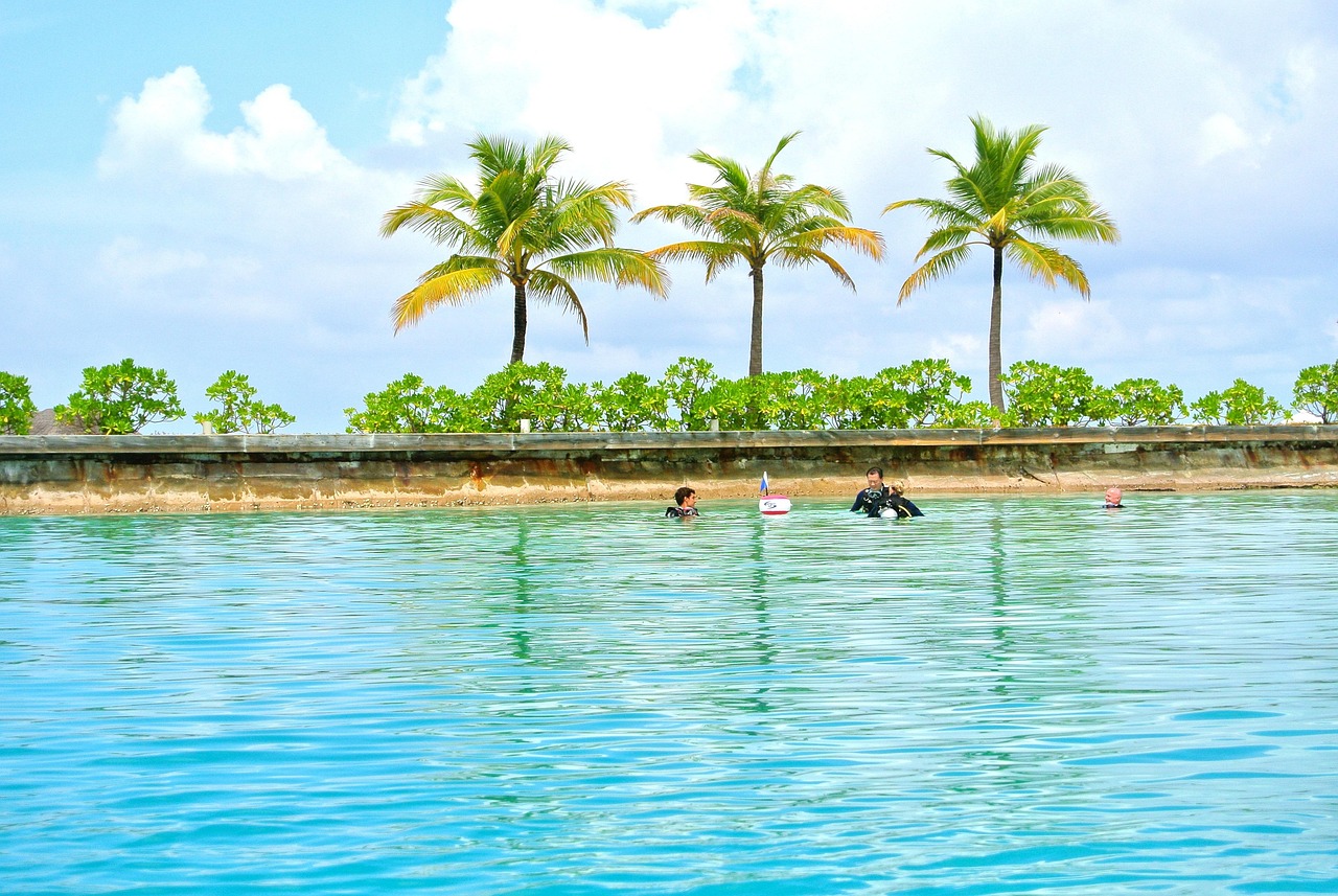 Maldives Coconut Tree Sea - Free photo on Pixabay - Pixabay