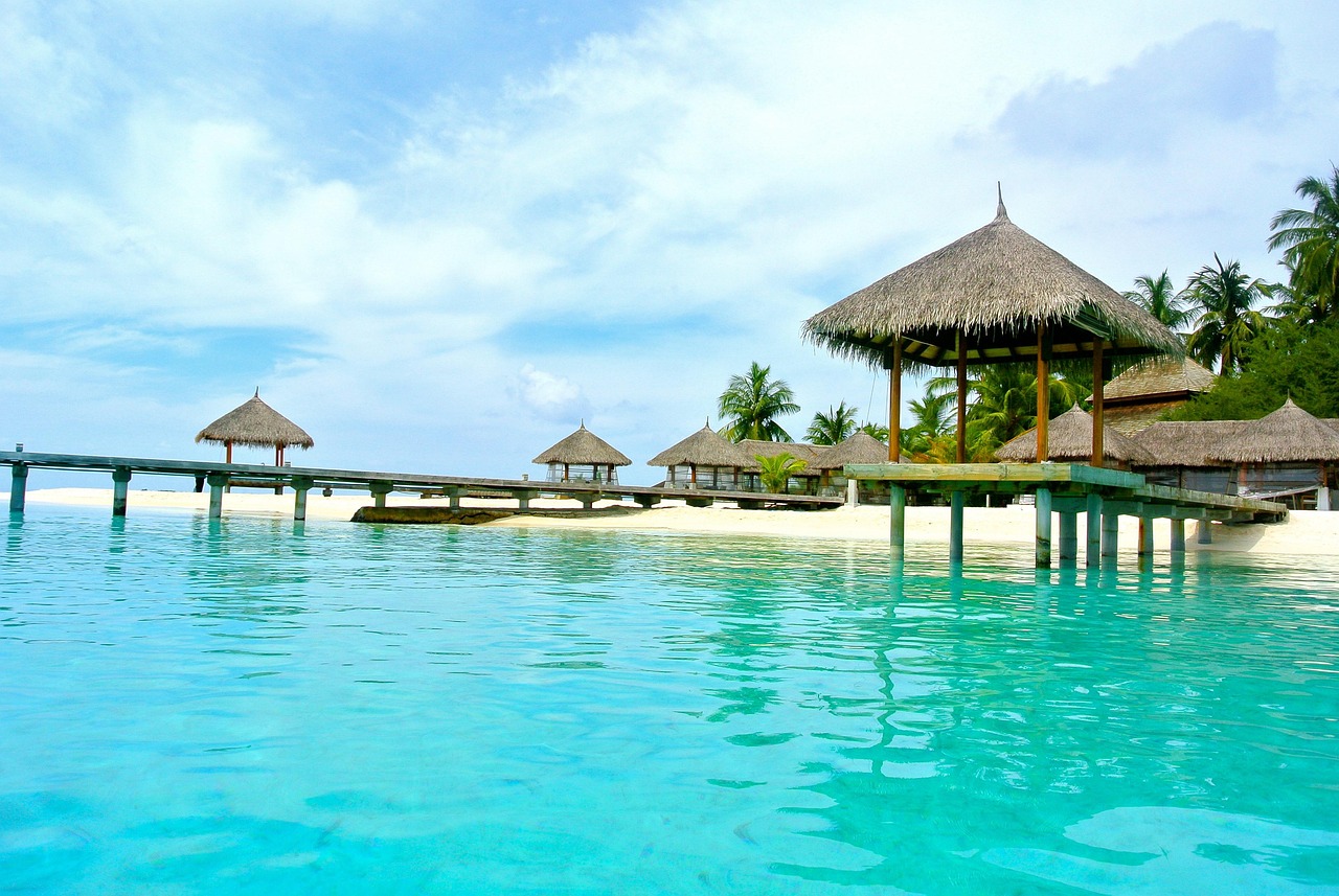 Maldives Coconut Tree Sea - Free photo on Pixabay