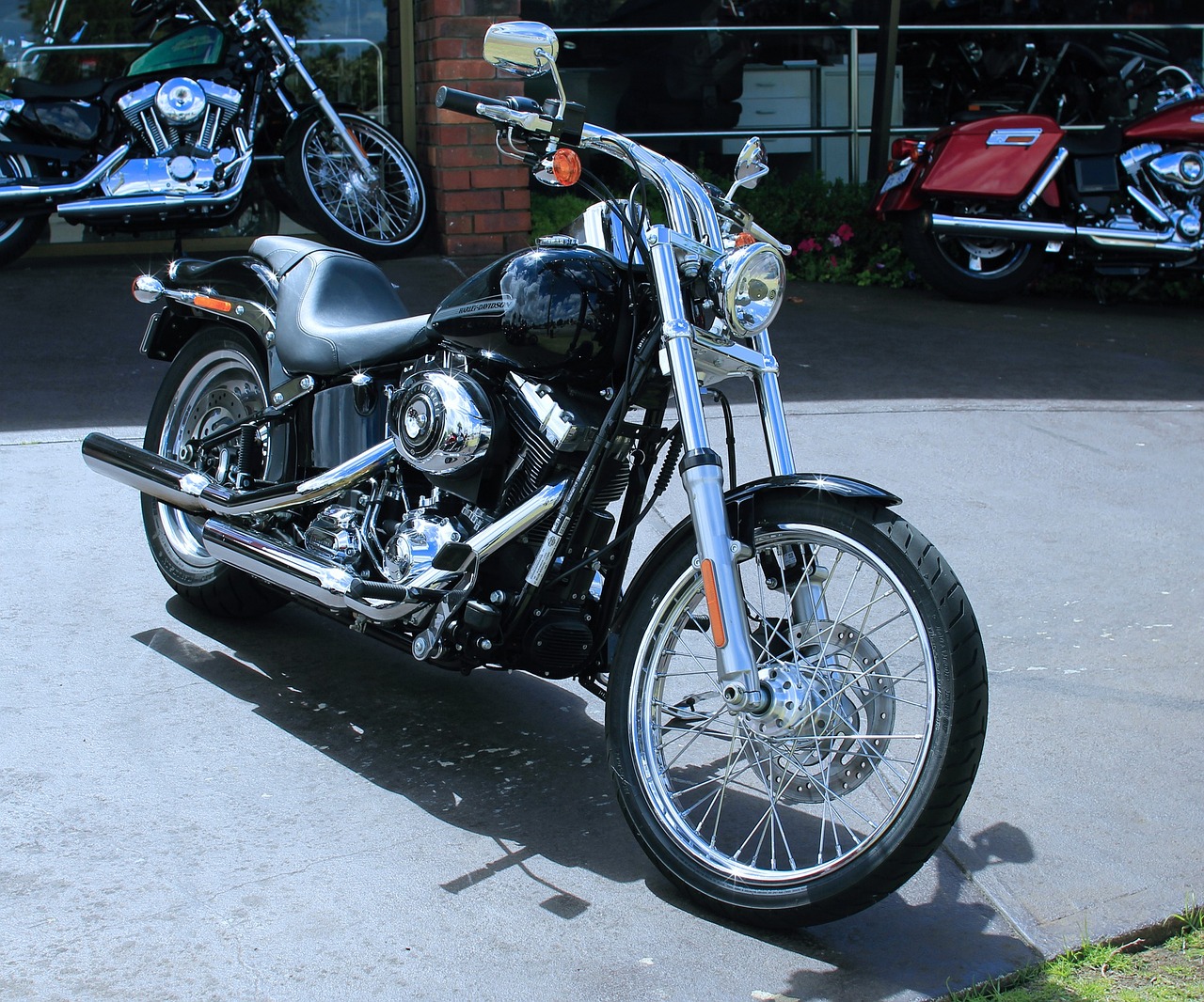 Motorbike Harley Display Room - Free photo on Pixabay - Pixabay