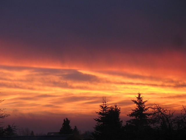 Soleil Du Matin Humeur Matinale - Photo gratuite sur Pixabay - Pixabay