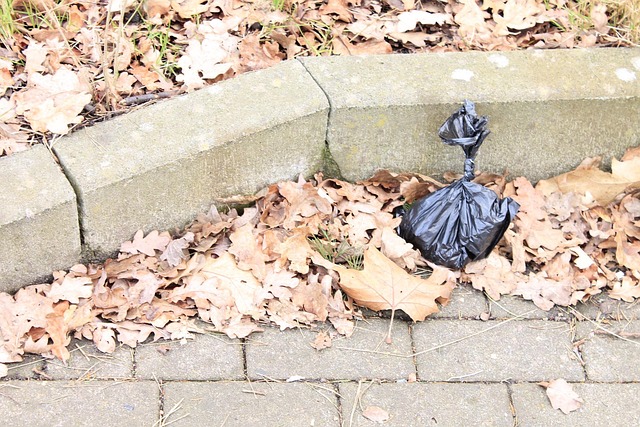 Gassi Bags Plastic Bag Feces - Free photo on Pixabay