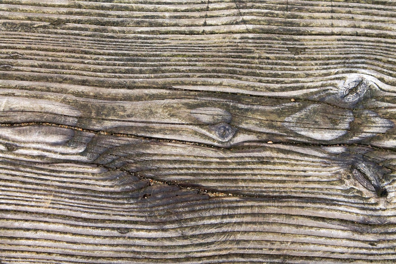 Holz Maserung Fasern - Kostenloses Foto auf Pixabay - Pixabay