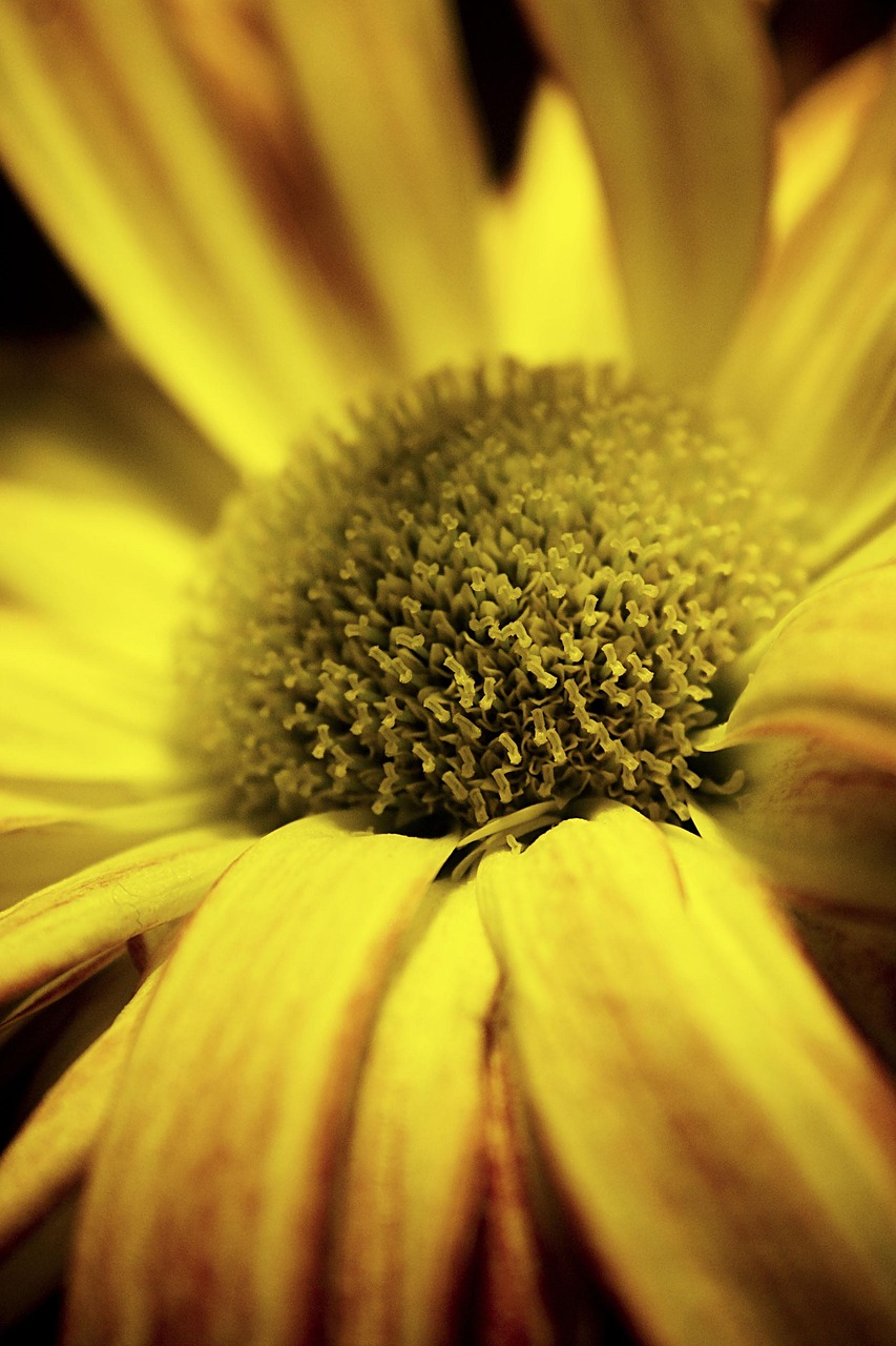 60+ Free Pure Color Background & Pure Images - Pixabay