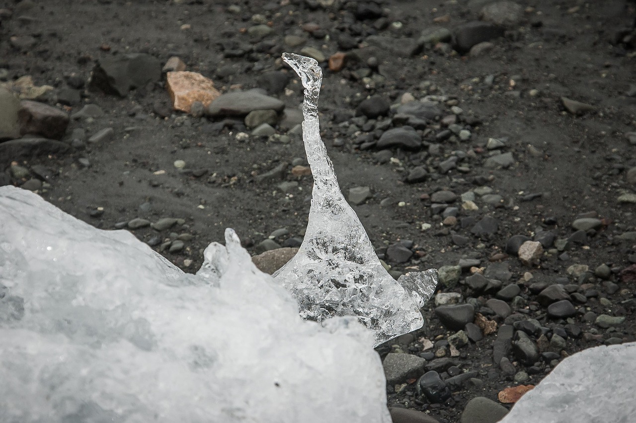 Ice Sculpture Nature Frozen - Free photo on Pixabay - Pixabay