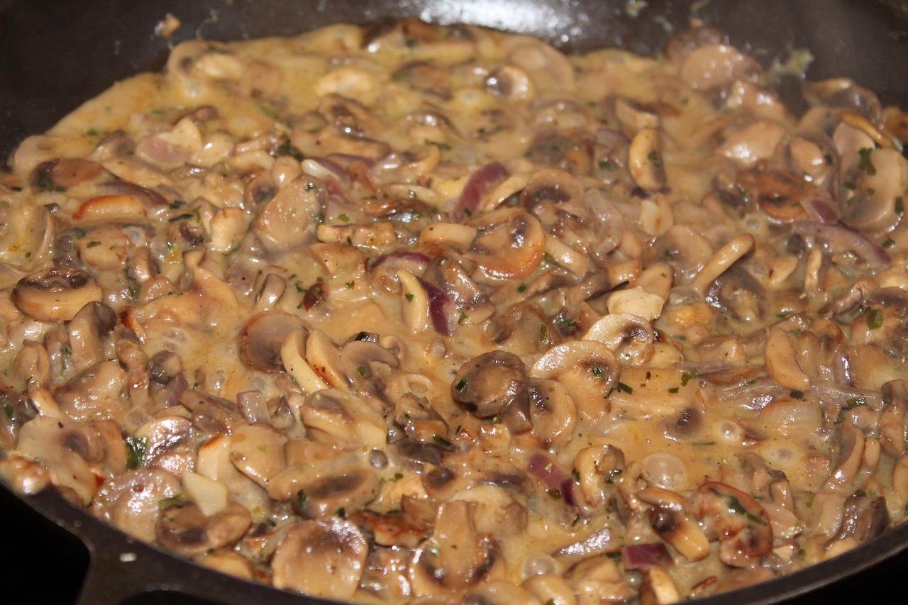 Mushrooms Pan Meal - Free photo on Pixabay - Pixabay