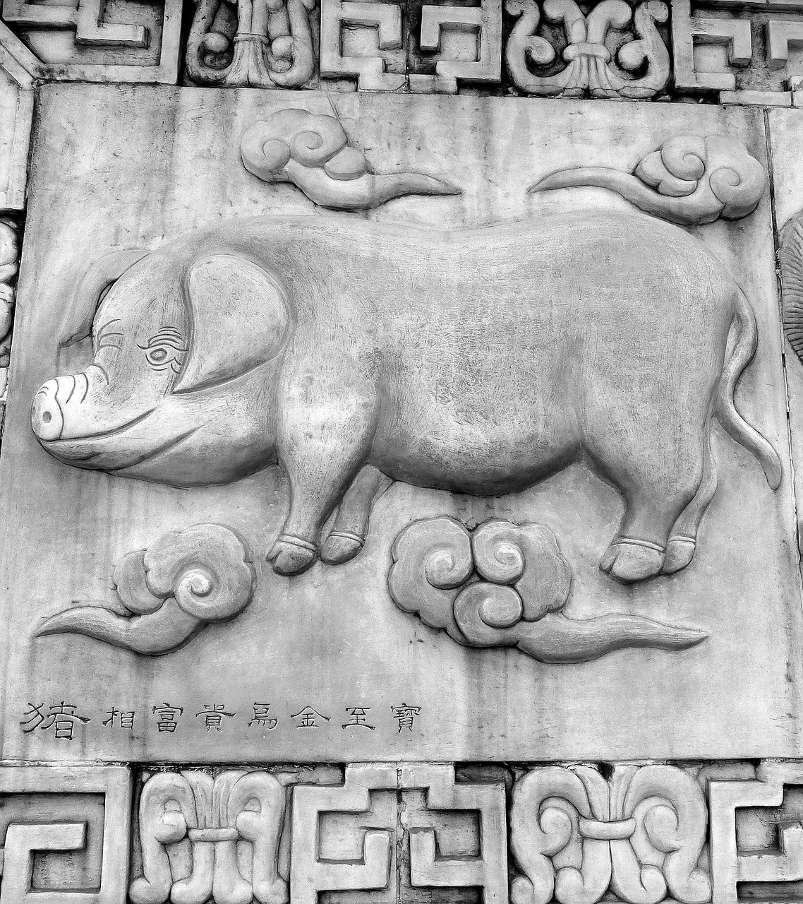 Kinesisk Stjernetegn Gris Symbol Uheldige år' I Thai Kinesisk