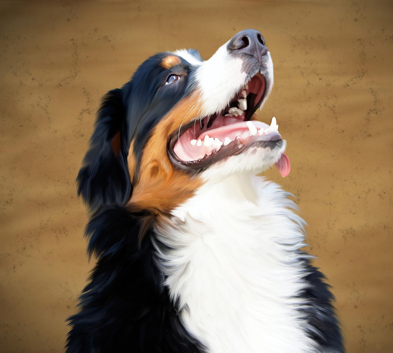 20,000+ Free Dog Pictures & Dog Images - Pixabay