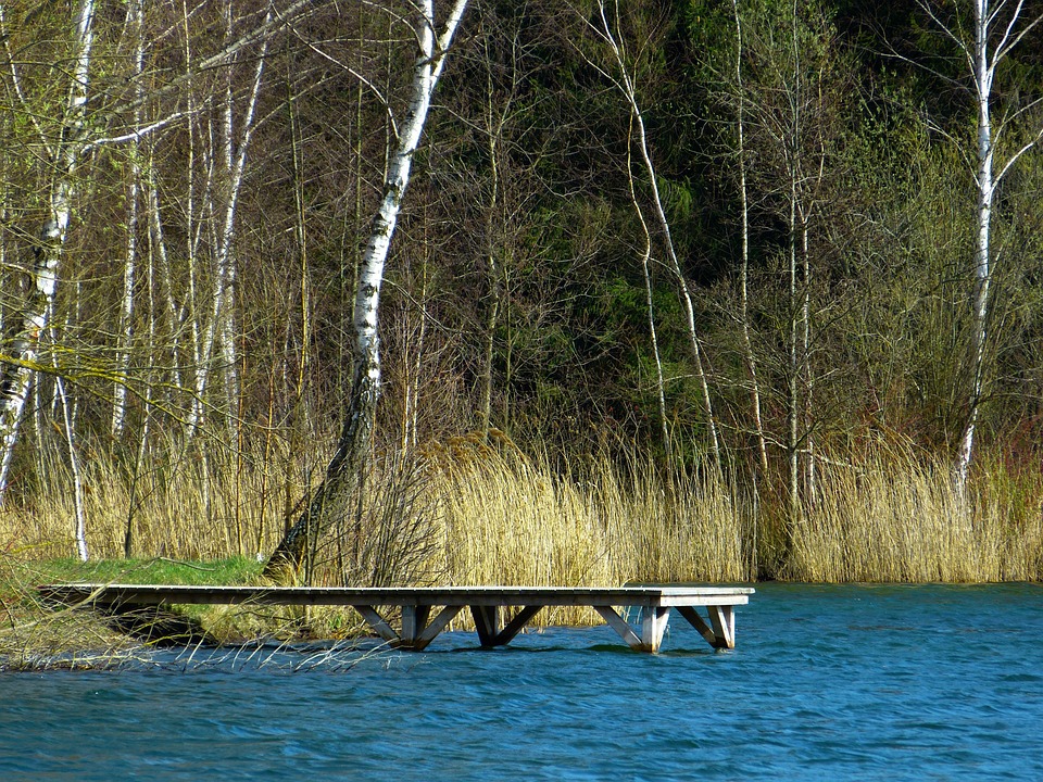 Water Lake Web - Free photo on Pixabay - Pixabay