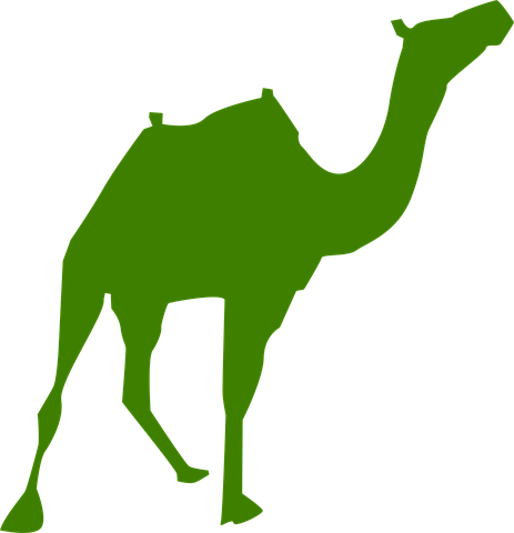 90+ Free Camel & Desert Vectors - Pixabay