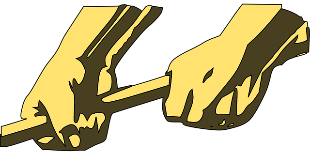 Download Hands, Holding, Rod. Royalty-Free Vector Graphic - Pixabay