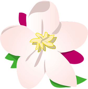 8+ Free Apple Blossom & Flower Vectors - Pixabay