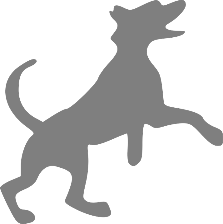 Download Dog, Grey, Animal. Royalty-Free Vector Graphic - Pixabay