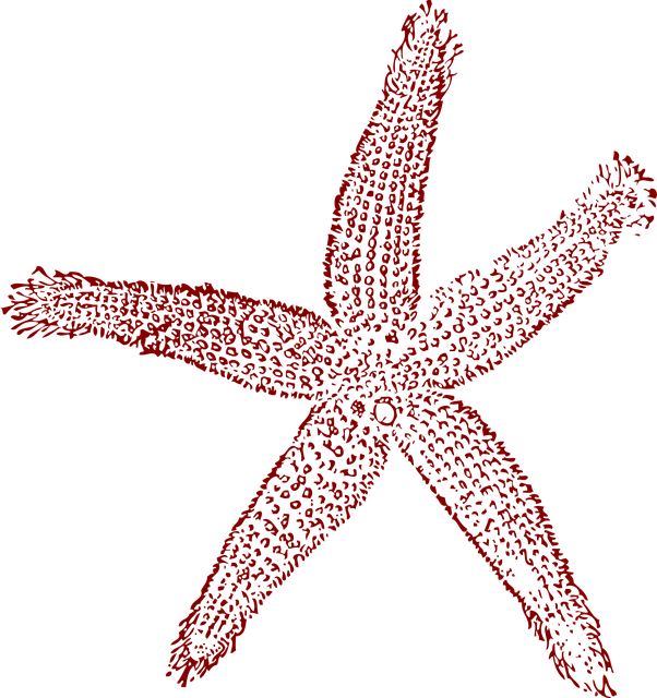 60,000+ Free Star Fish & Fish Images - Pixabay
