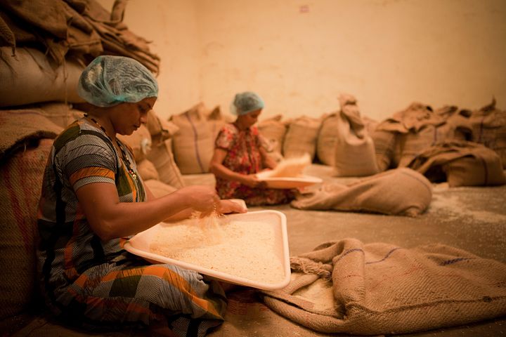 200+ Free Working Women & Women Photos