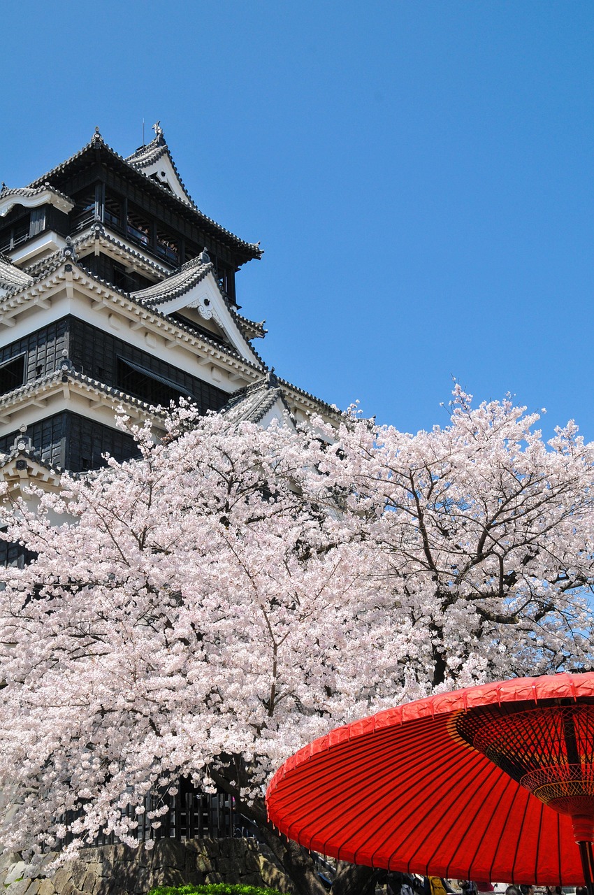 400.000+ Gambar Bunga Cherry Blossoms & Alam Gratis - Pixabay
