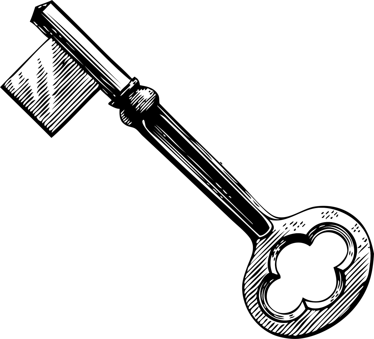 Explore 4 011 Free Skeleton Key Illustrations Download Now Pixabay