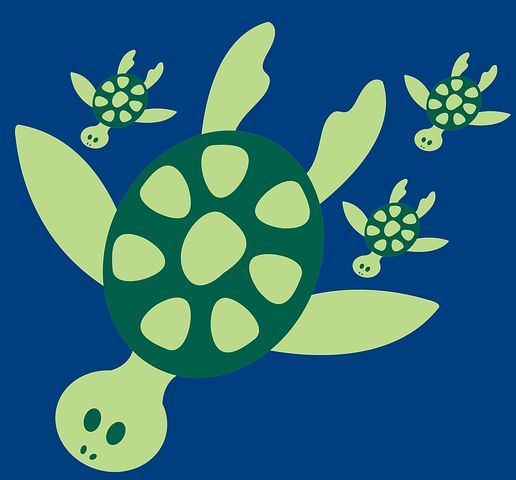 100+ Free Turtle & Tortoise Vectors