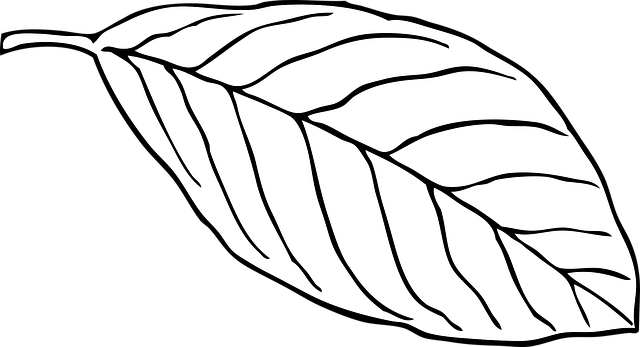 Free Leaf Outline Vector Art - Download 4,897+ Leaf Outline Icons ...