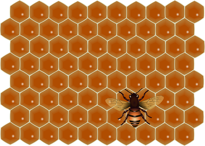 50+ Free Honeycomb & Bee Vectors - Pixabay